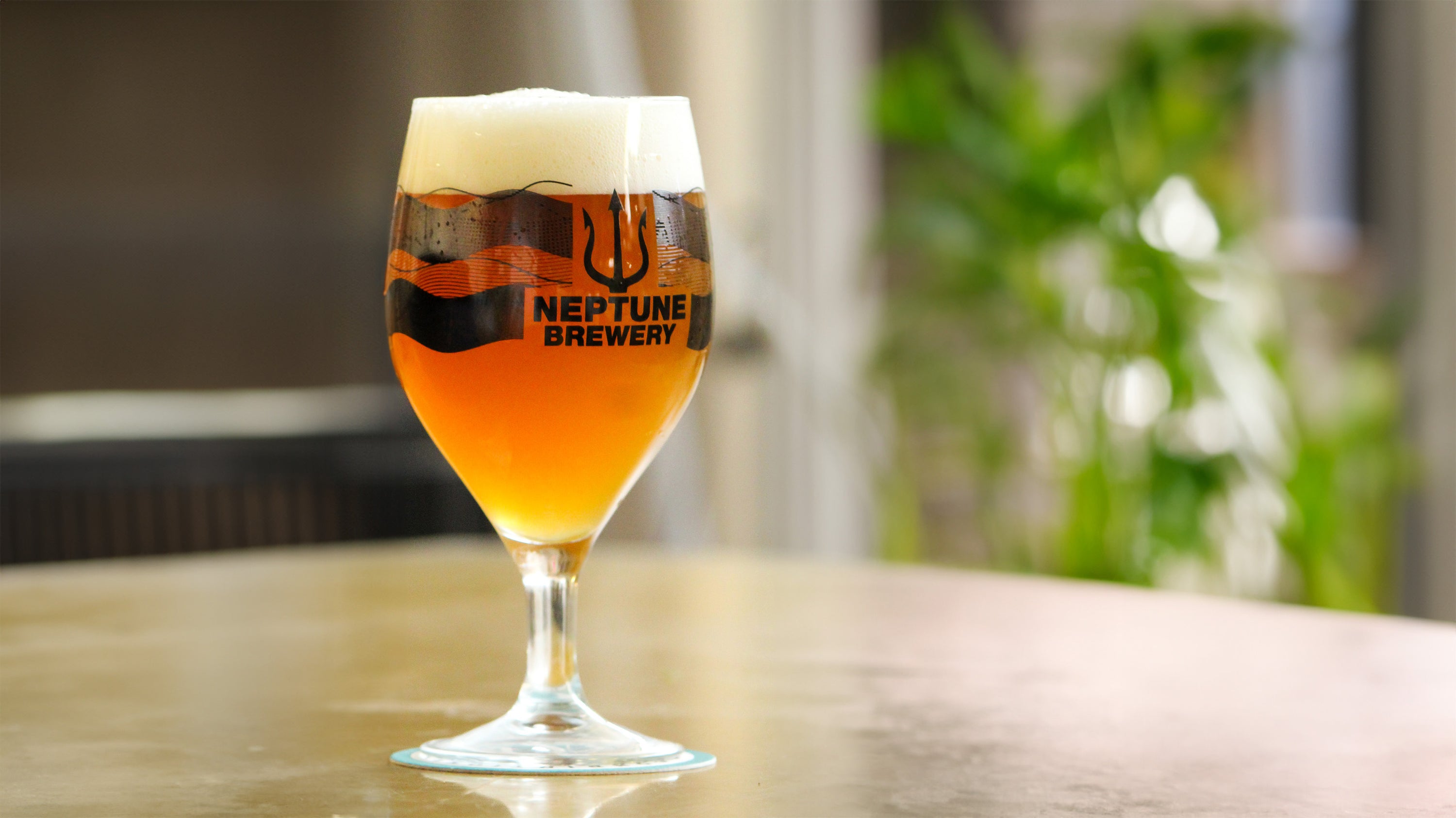 Neptune Brewery online store